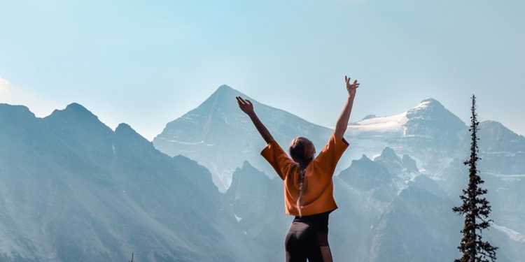 Home | WELL PLUS TRADE GmbH